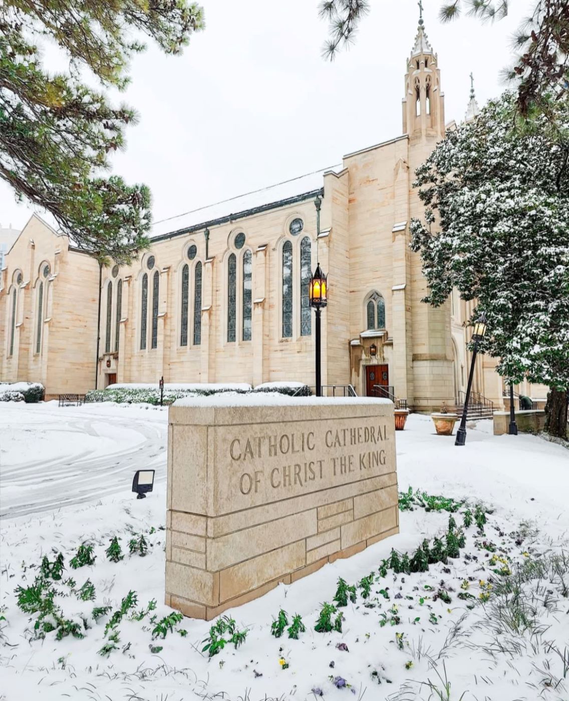 04 Cathedral Of Christ The King | Life of the Church